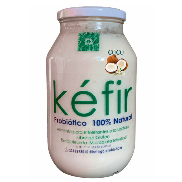 KEFIRGDL- Kefir de coco – Cuatro Biomarket
